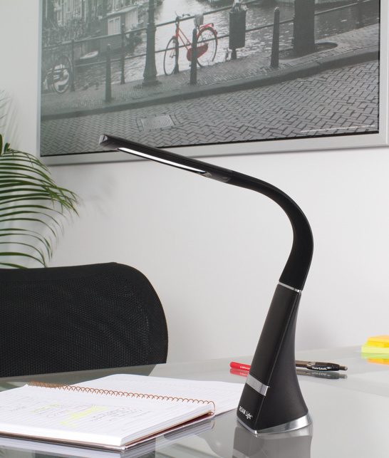 ROAM Light™ by Serious Readers